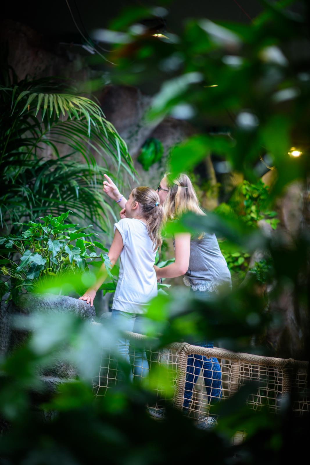 Fun in Prague. Papilonia butterfly house in Prague